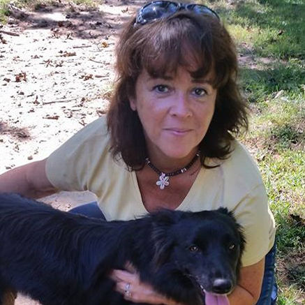 James Madison University Libraries Homepage