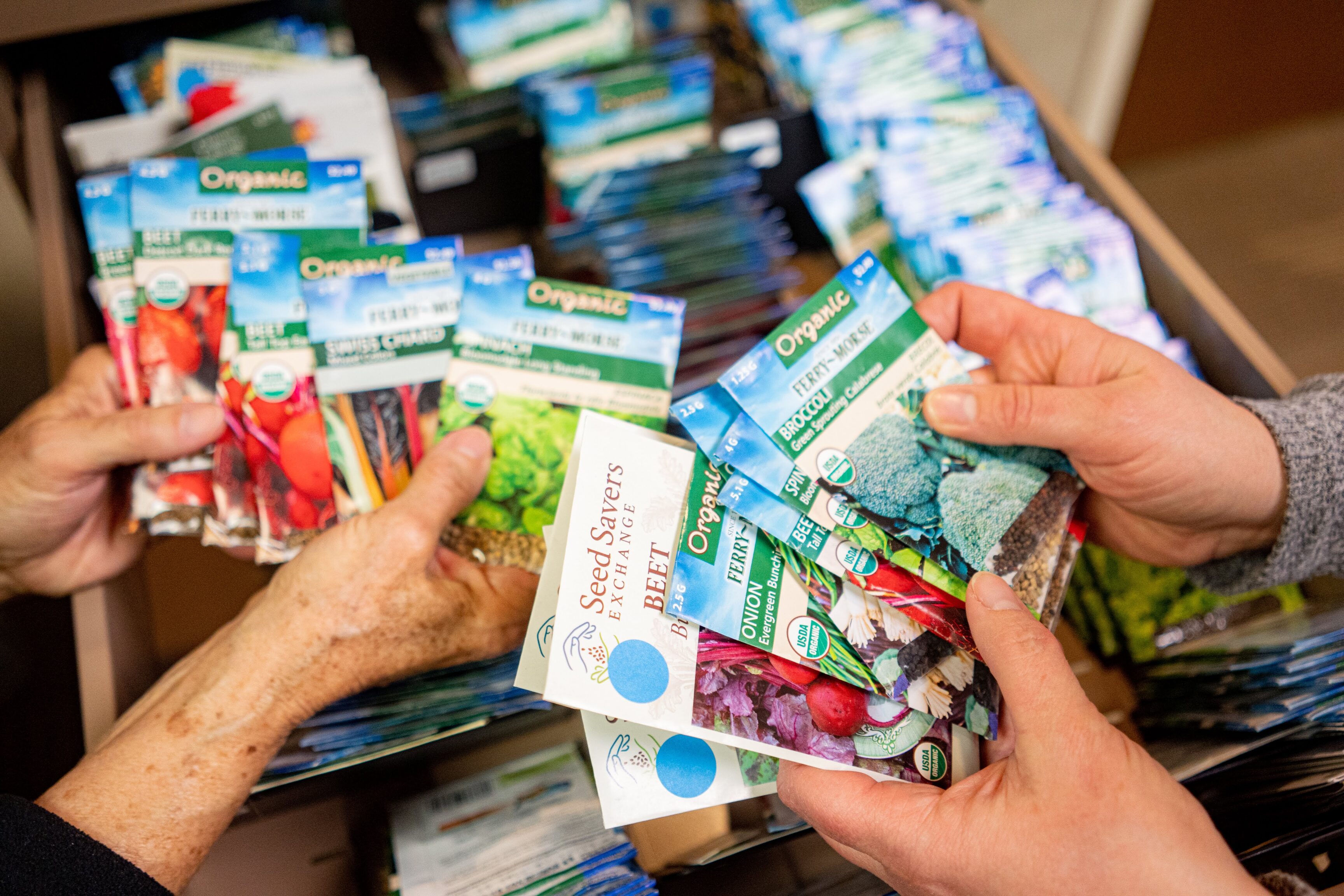 Help the Seed Library Grow This Spring - JMU Libraries
